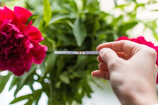 Can You Get Pregnant From Precum (Pre-Ejaculation Fluid)?