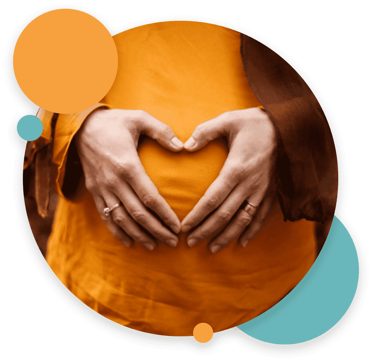 Implantation Calculator: Calculate When the Embryo Implants