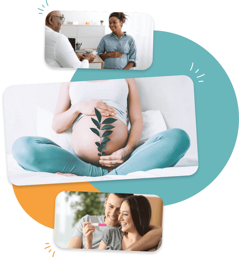 babyMed: The Most Precise Pregnancy & Fertility Tools & Advice