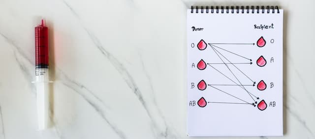 Blood Type Calculator