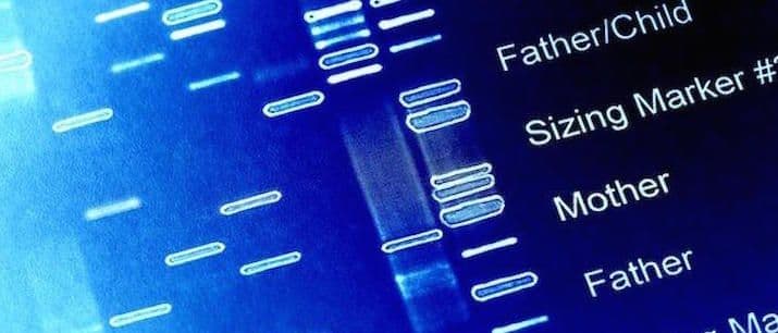 Paternity Test During Pregnancy